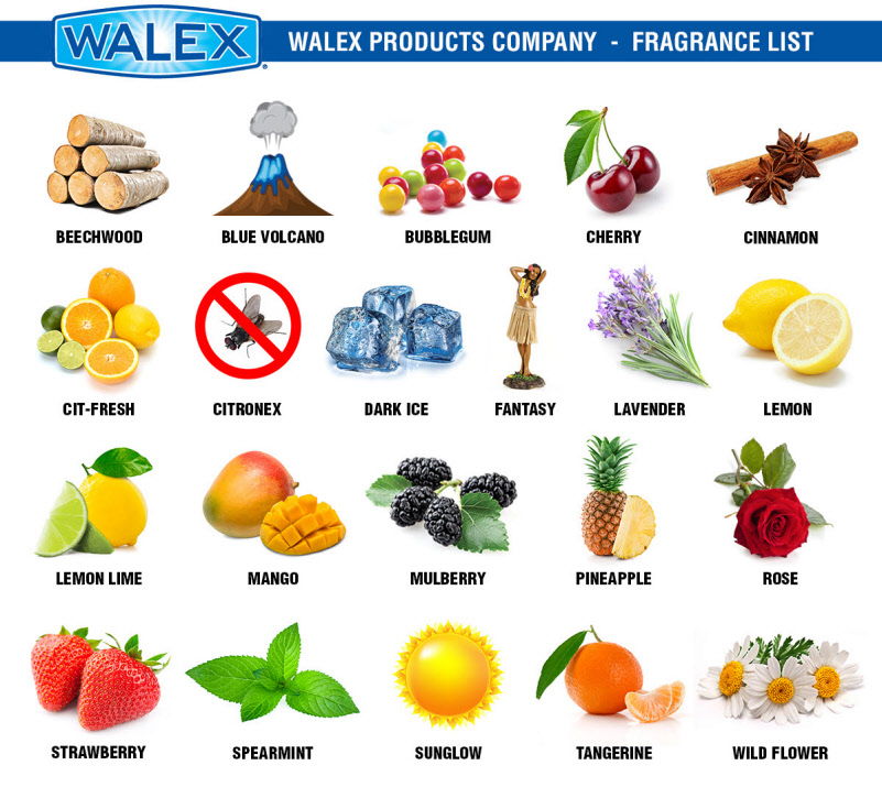 Deodorant Discs Walex Sunglow Portable Air Fresheners Classic | WALDISC