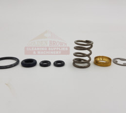 Replacement Valve Seal Kit V800 Inc Spring & O-Ring | R800