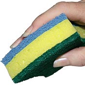 Sponges Dual Side 2 Pk Scourer Green | SSDUOGSK